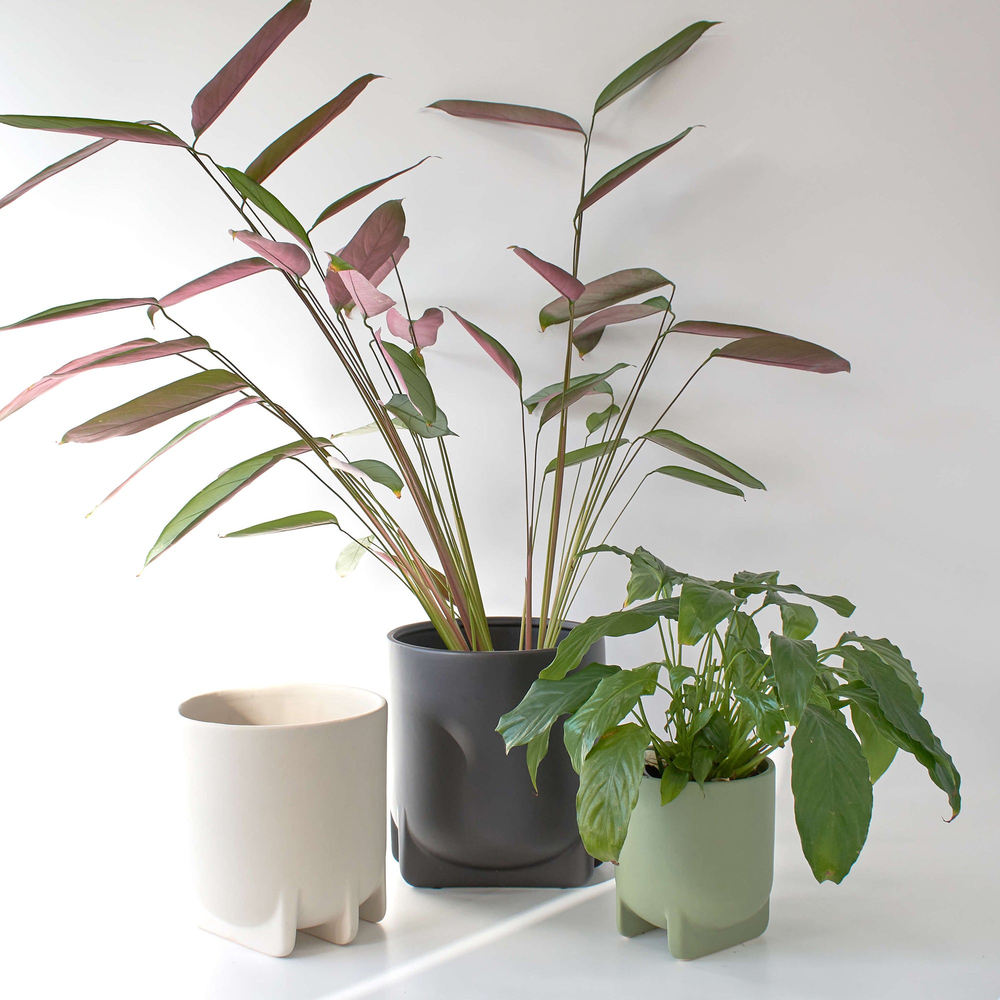 Eden - Planters – salt&pepper